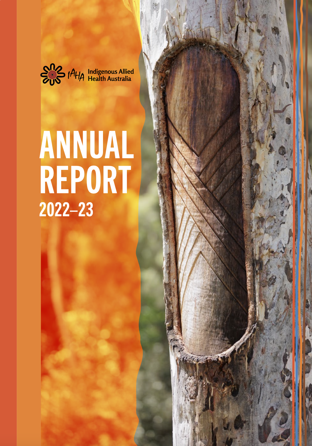 IAHA Publications - Indigenous Allied Health Australia